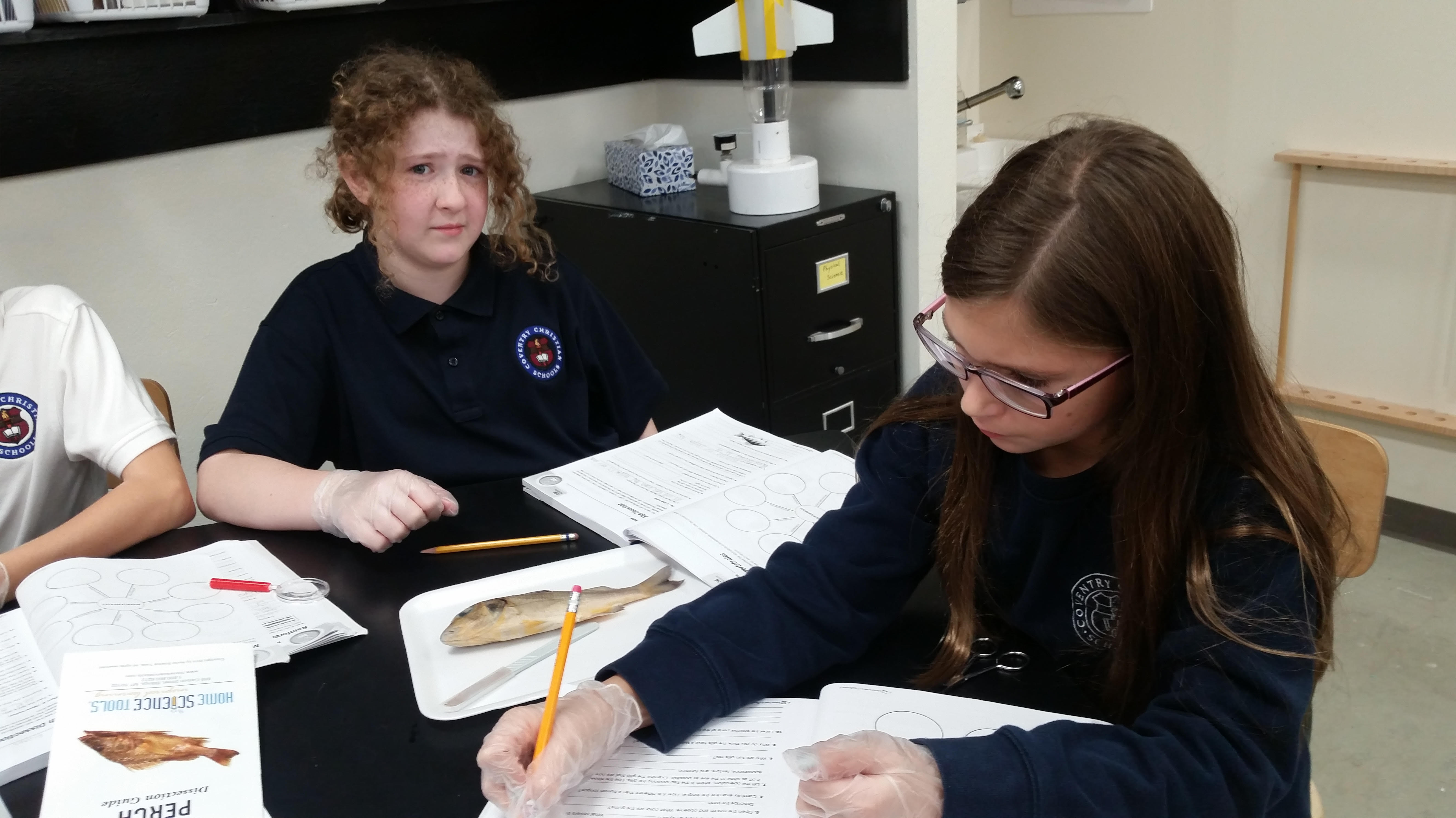 6th grade dissects perch! | The Eagle Express